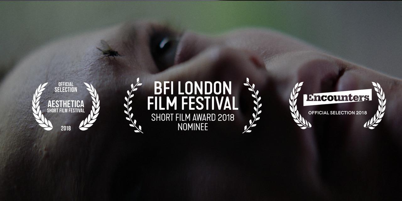 How To Pitch, Part 3 - The Pitch Film Fund